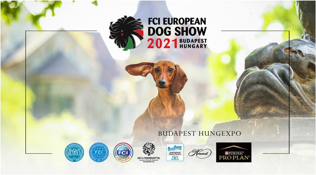 FCI European Dog Show 2021 Budapest GOTRAVEL fci-european-dog-show-2021-budapest-gotravel