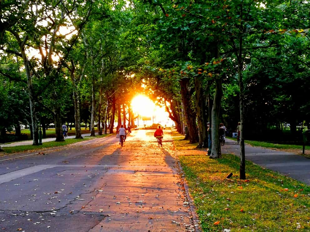 Erzsébet-liget, Szeged - GOTRAVEL